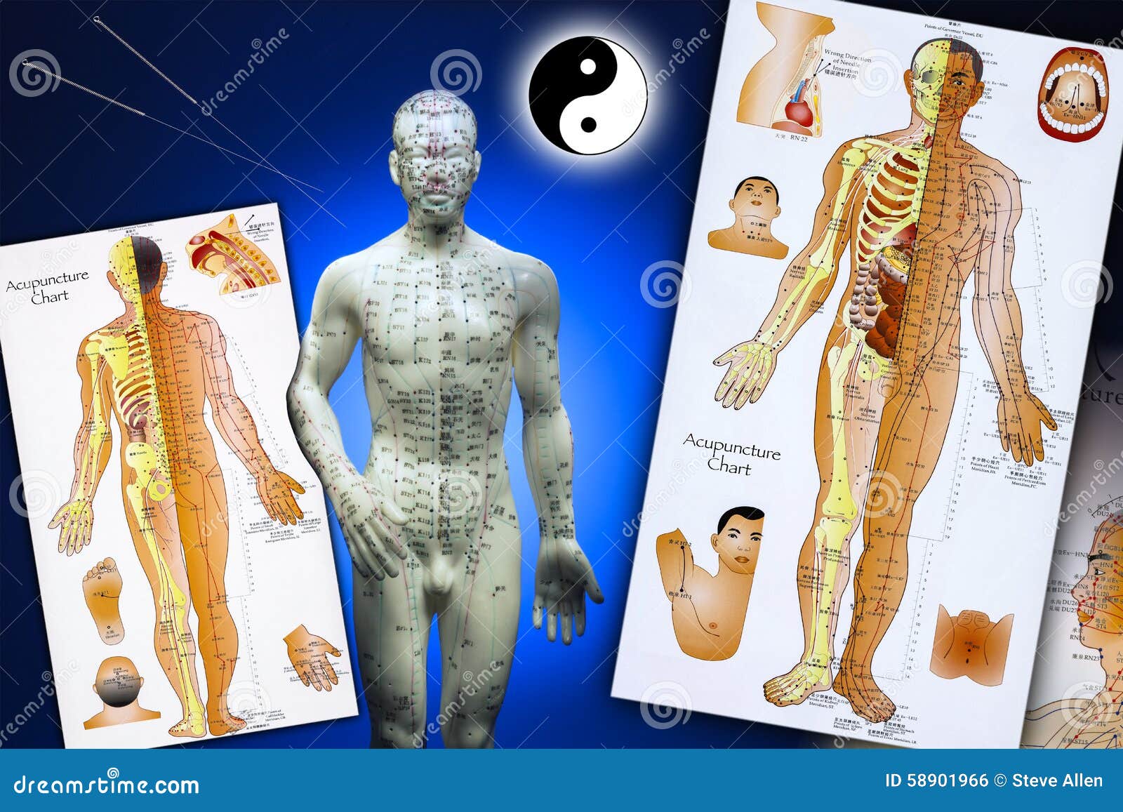 Chinese Acupuncture Point Doll At Panjiayuan Weekend Market Editorial ...