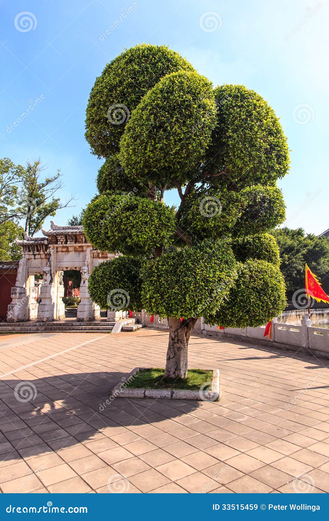 Traditional Chinese Garden with Beautiful Tree Stock Image - Image of ...
