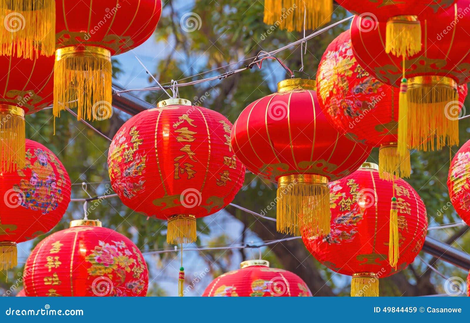 Traditional Chinese Lantern Hanging on Tree in Public Park Stock Image ...