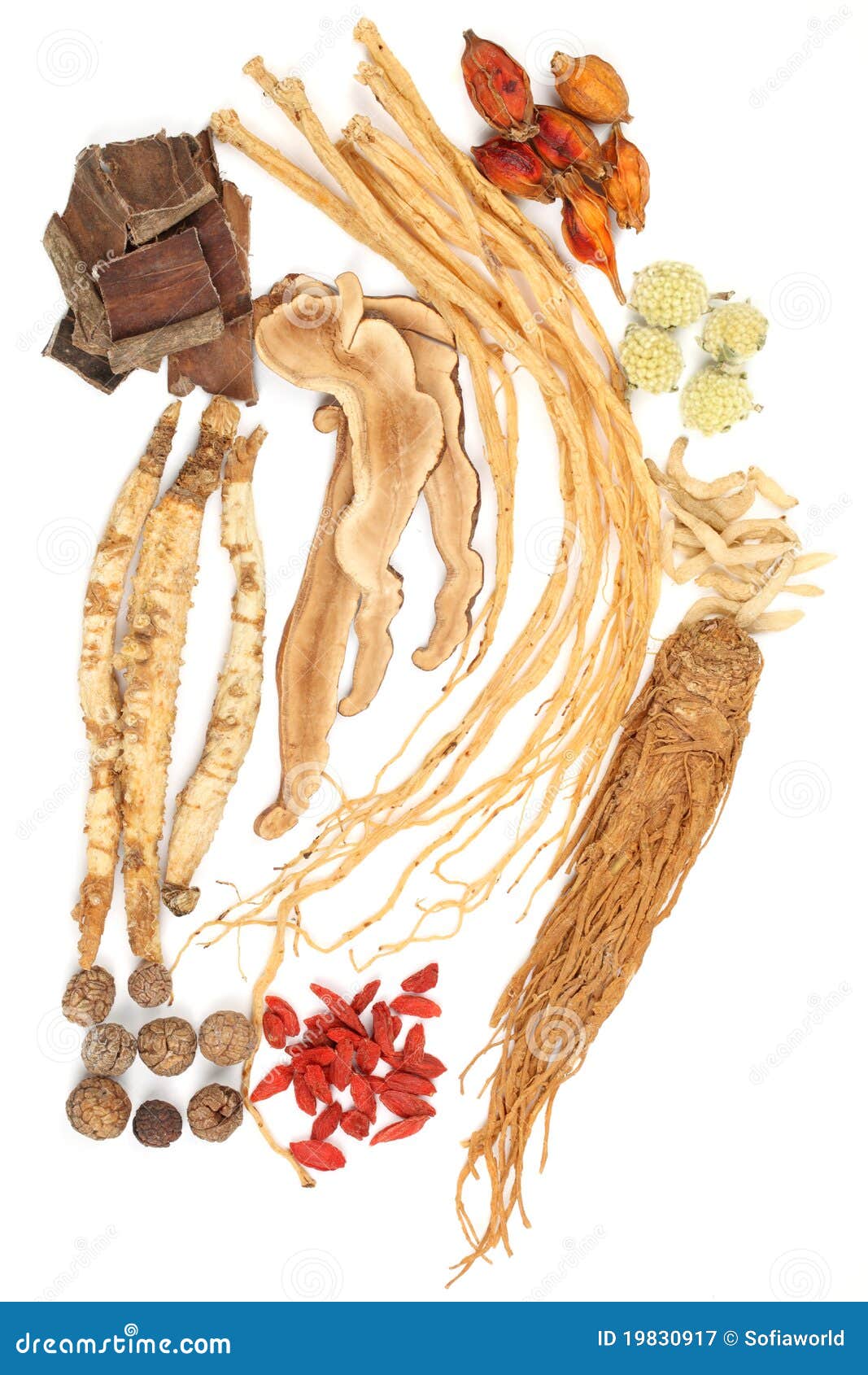 Traditional Chinese Medicine Stock Image - Image of codonopsis, lingzhi ...