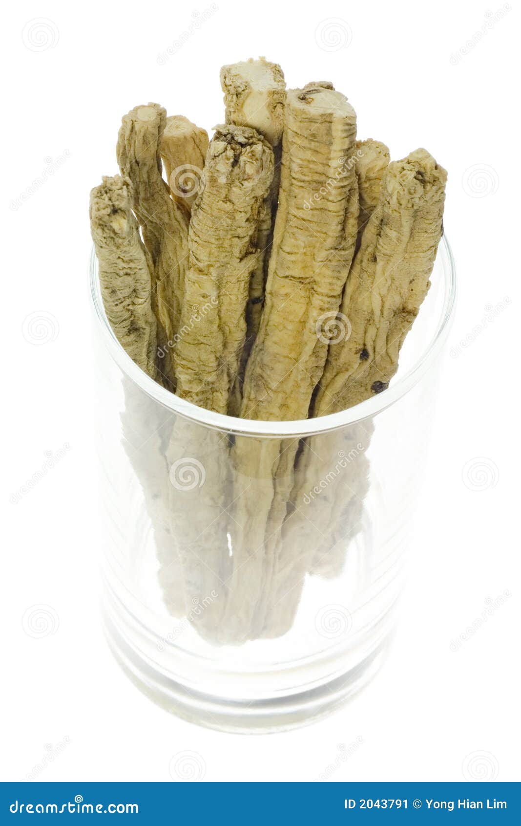 Traditional Chinese Medicine - Dangshen (radix Codonopsitis Pilosulae ...