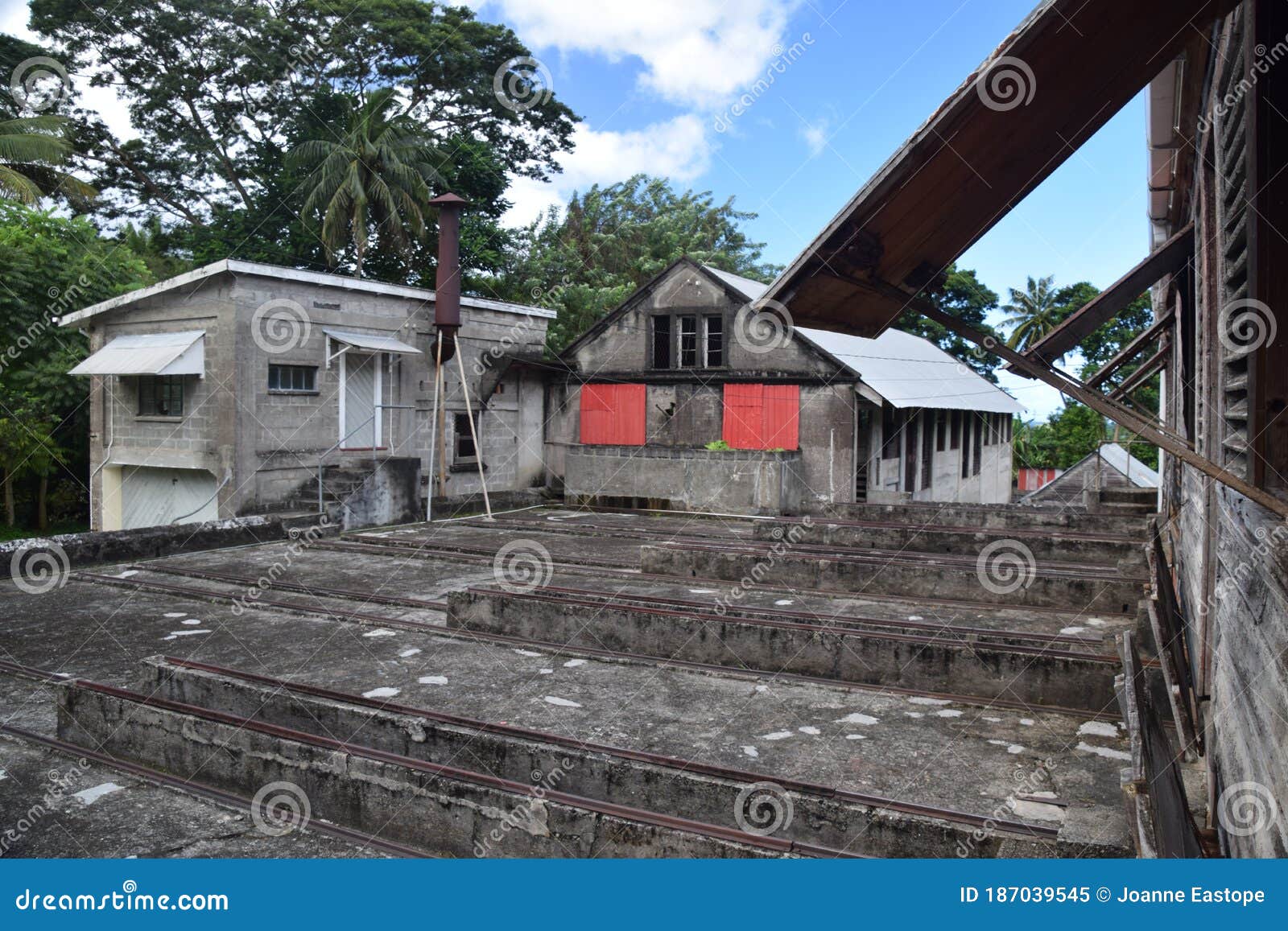 Traditional Chocolate Drying Factory Editorial Image - Image of food ...