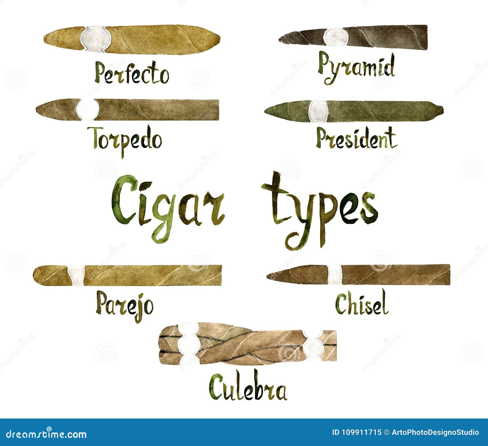 Perfecto Cigar Shape Painted Illustration | CartoonDealer.com #109911819 Perfecto Cigar Shape Painted Illustration | CartoonDealer.com #109911819