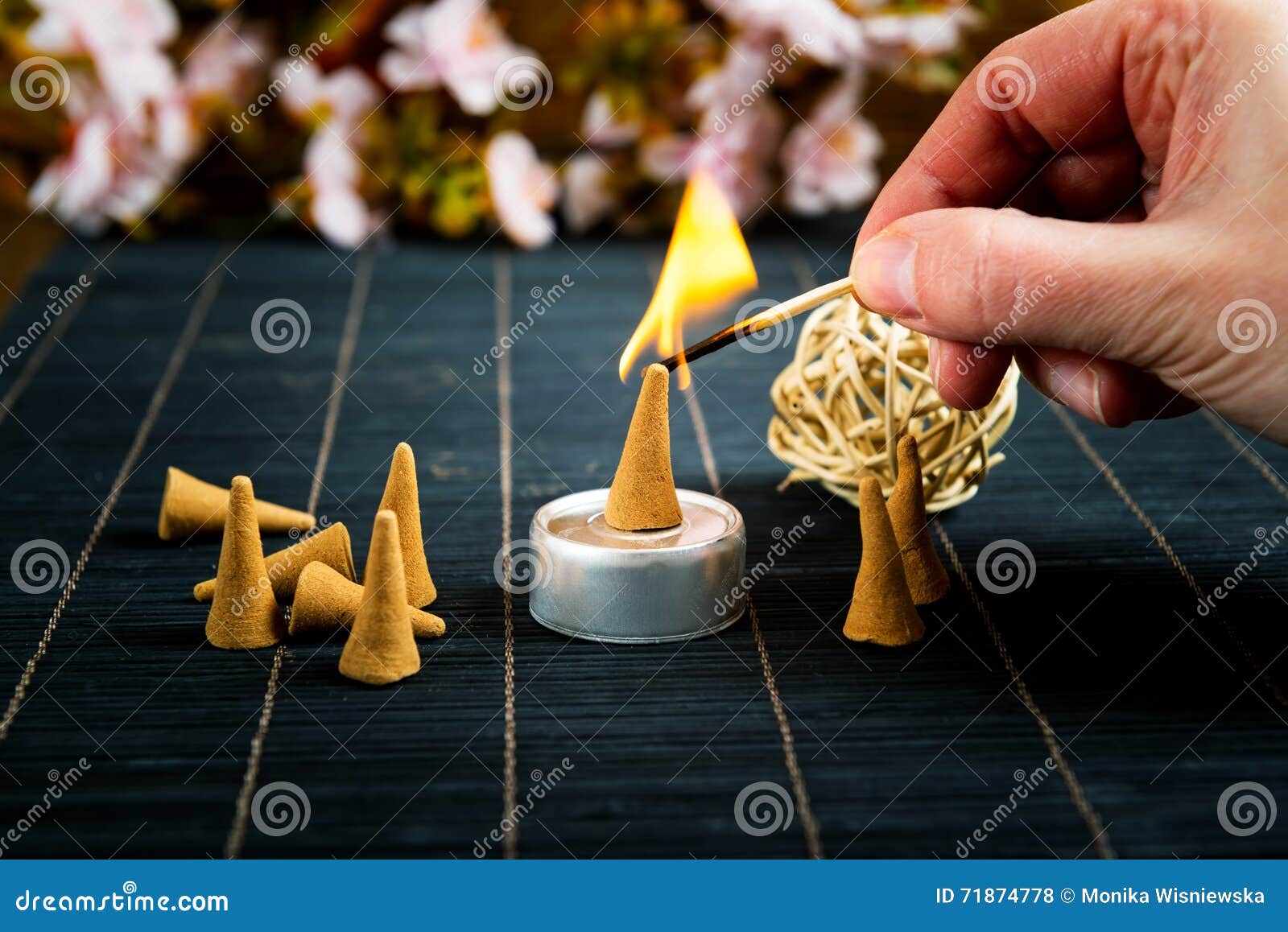 76,186 Traditional Cone Stock Photos - Free & Royalty-Free Stock Photos ...