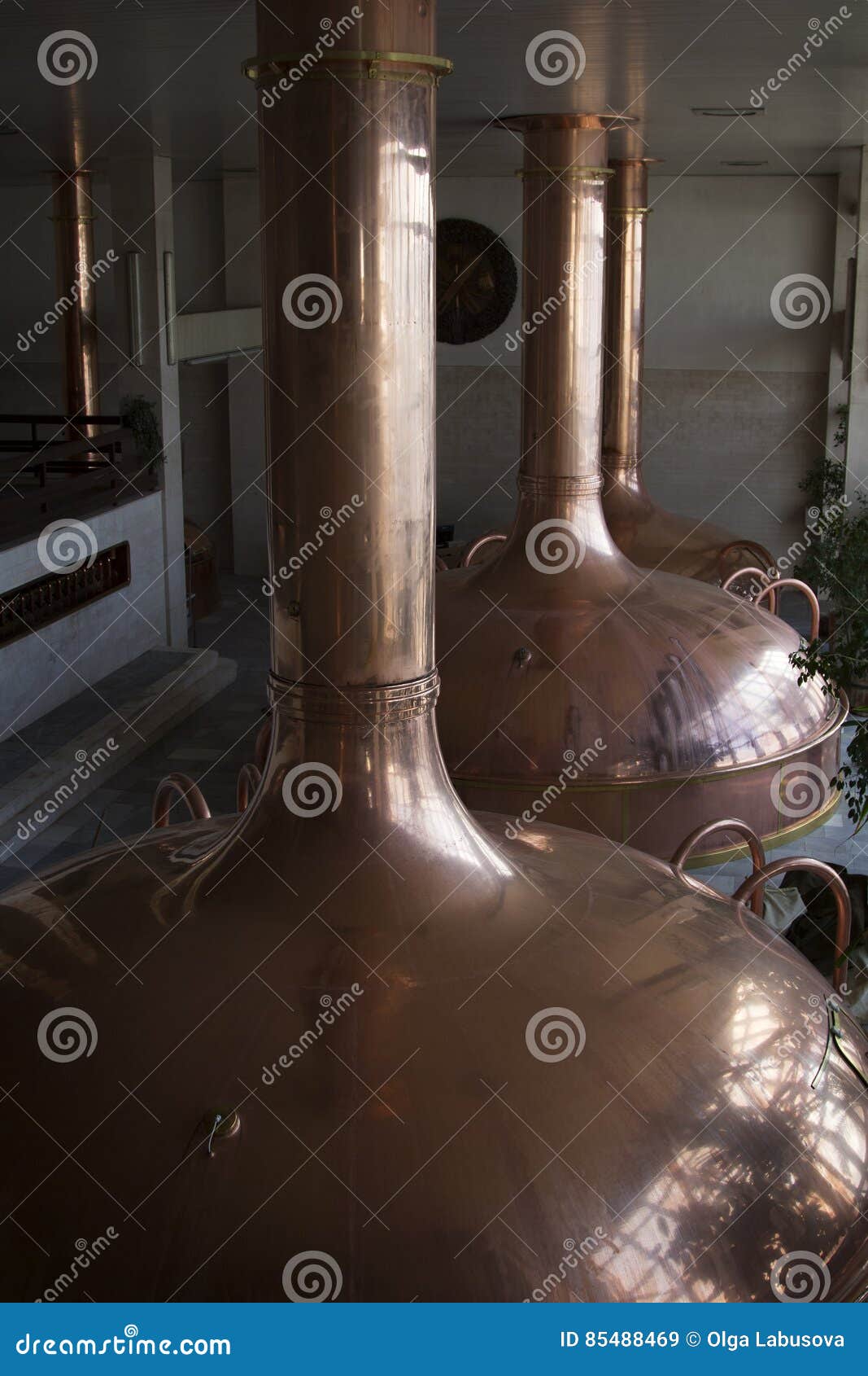 Traditional Copper Distillery Tanks in a Beer Brewery Stock Image ...