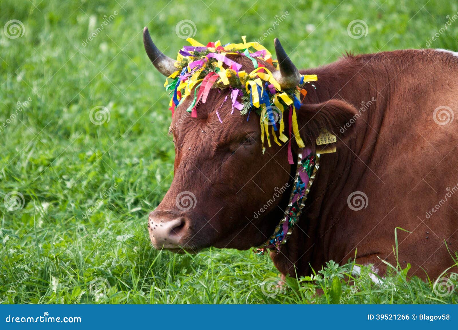Traditional cow decoration stock photo. Image of grass - 39521266