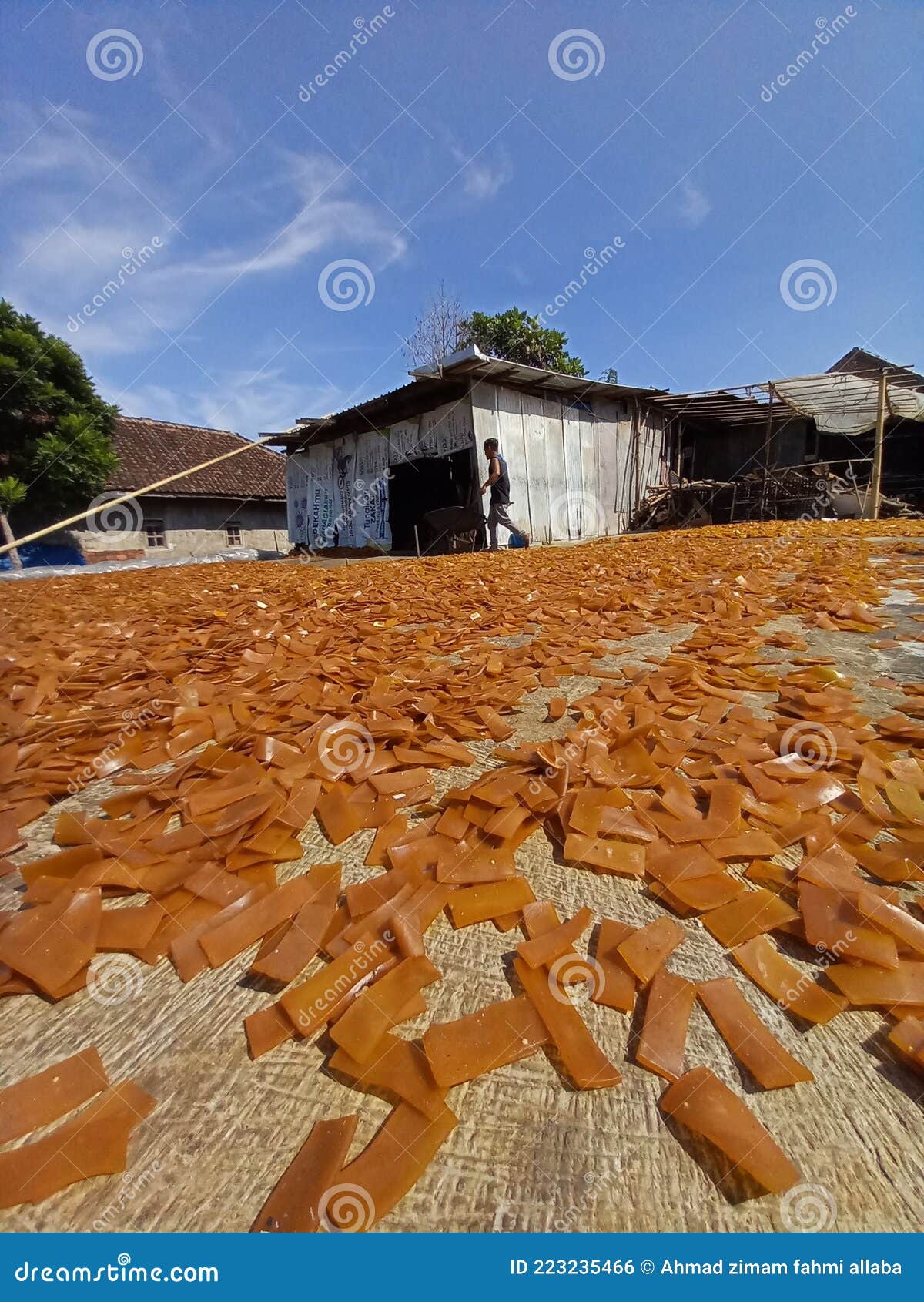 Traditional Cracker Production Stock Photos - Free & Royalty-Free Stock ...