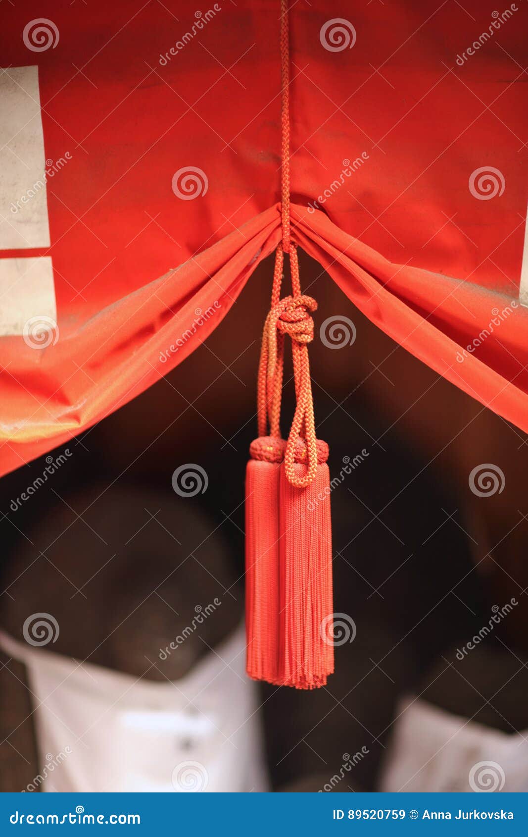 Shinto Knot Stock Photography | CartoonDealer.com #18428078