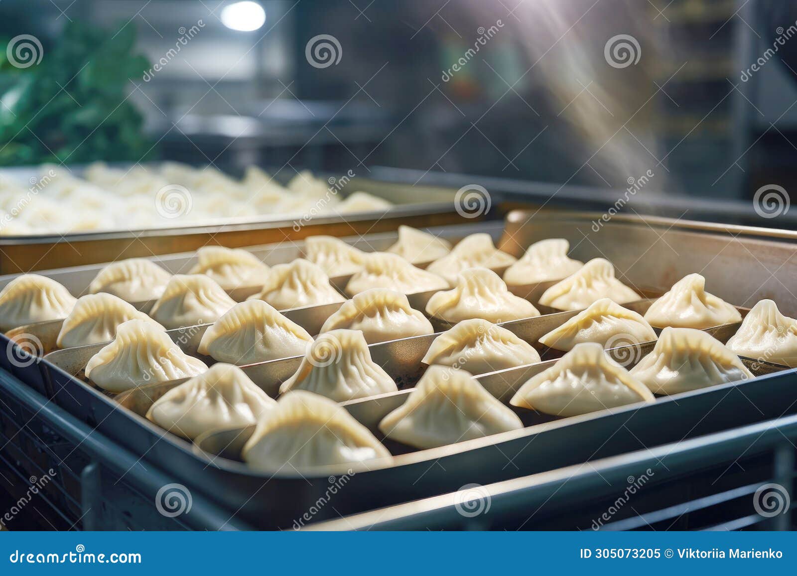 Traditional Dumpling Production in Factory Setting Stock Illustration ...