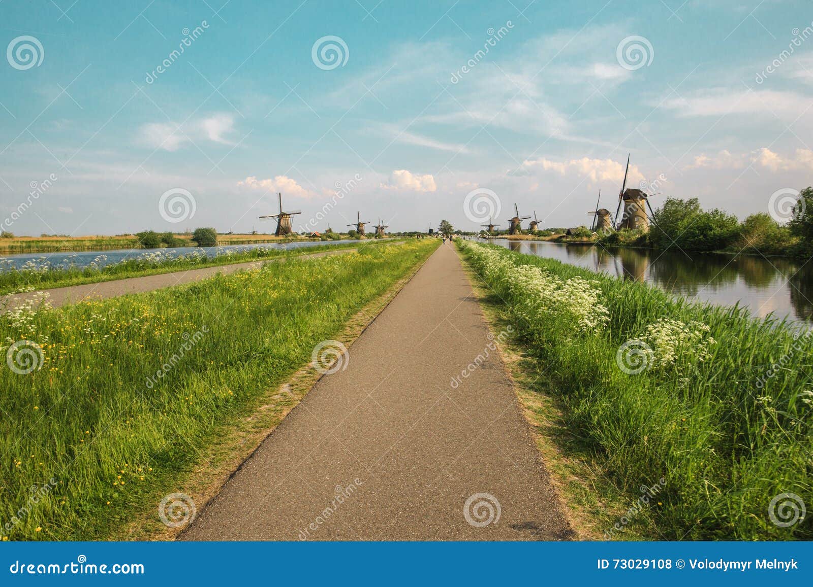 Traditional Dutch Windmills with Green Grass in the Foreground, the ...