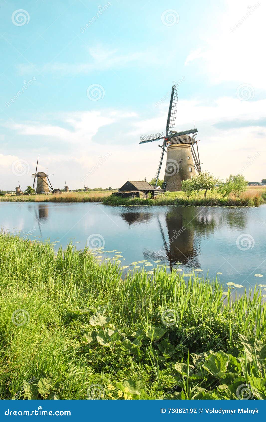 Traditional Dutch Windmills with Green Grass in the Foreground, the ...