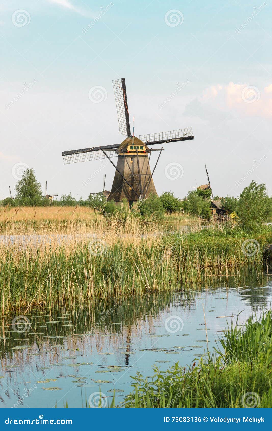 Traditional Dutch Windmills with Green Grass in the Foreground, the ...