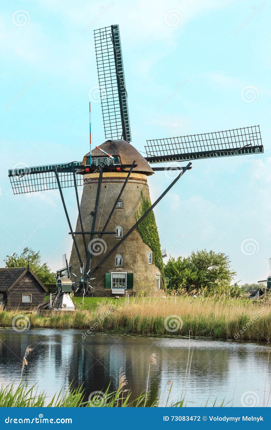 Traditional Dutch Windmills with Green Grass in the Foreground, the ...