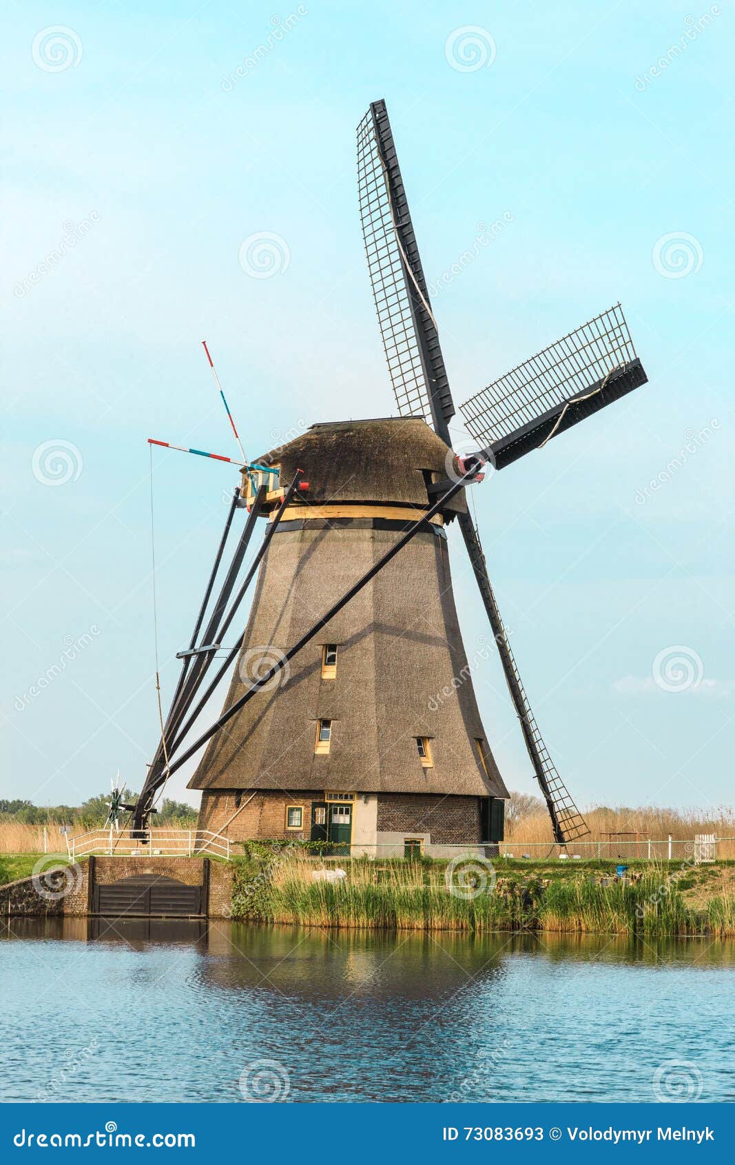 Traditional Dutch Windmills with Green Grass in the Foreground, the ...