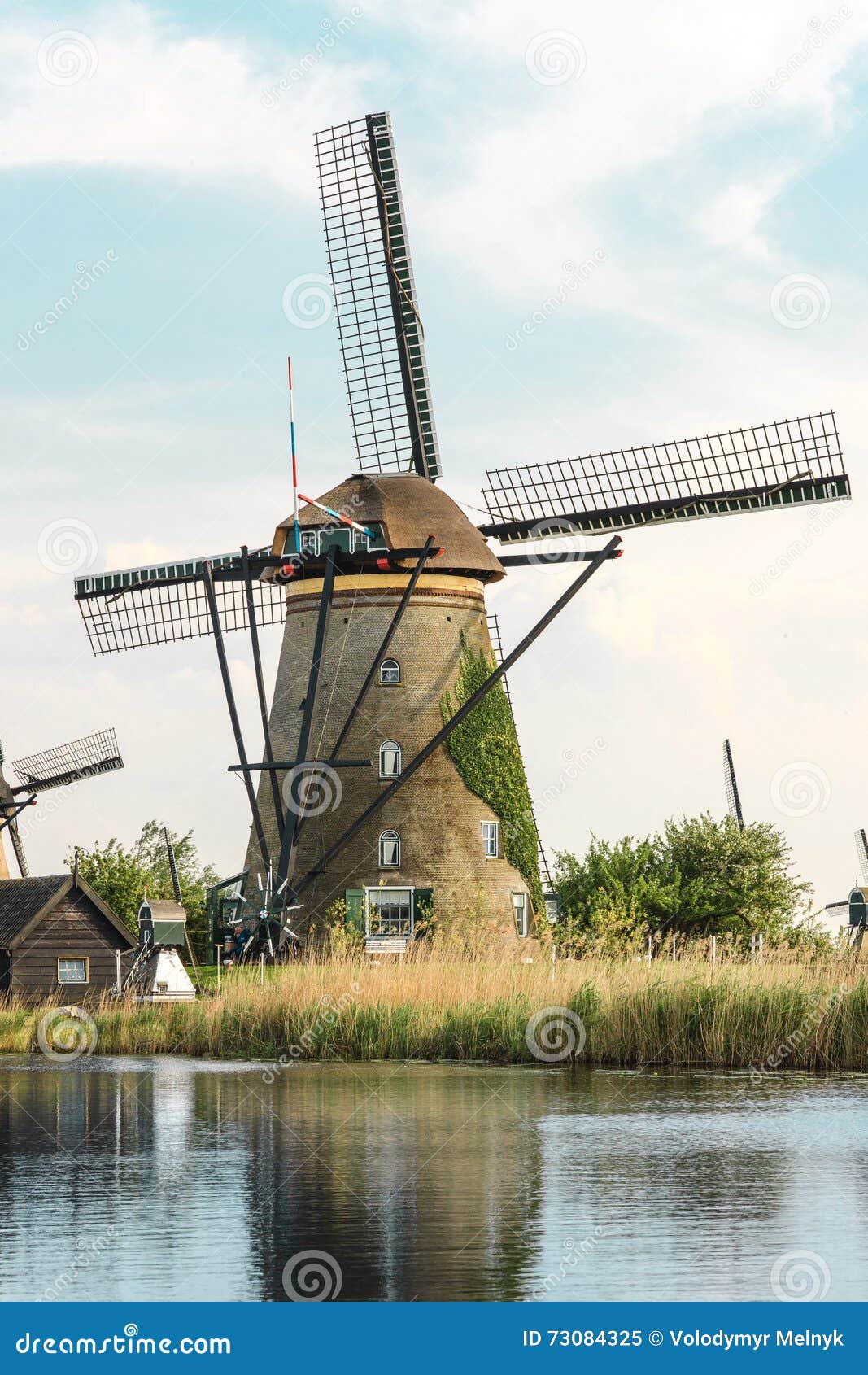 Traditional Dutch Windmills with Green Grass in the Foreground, the ...