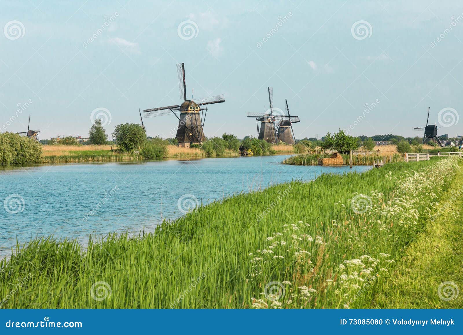 Traditional Dutch Windmills with Green Grass in the Foreground, the ...