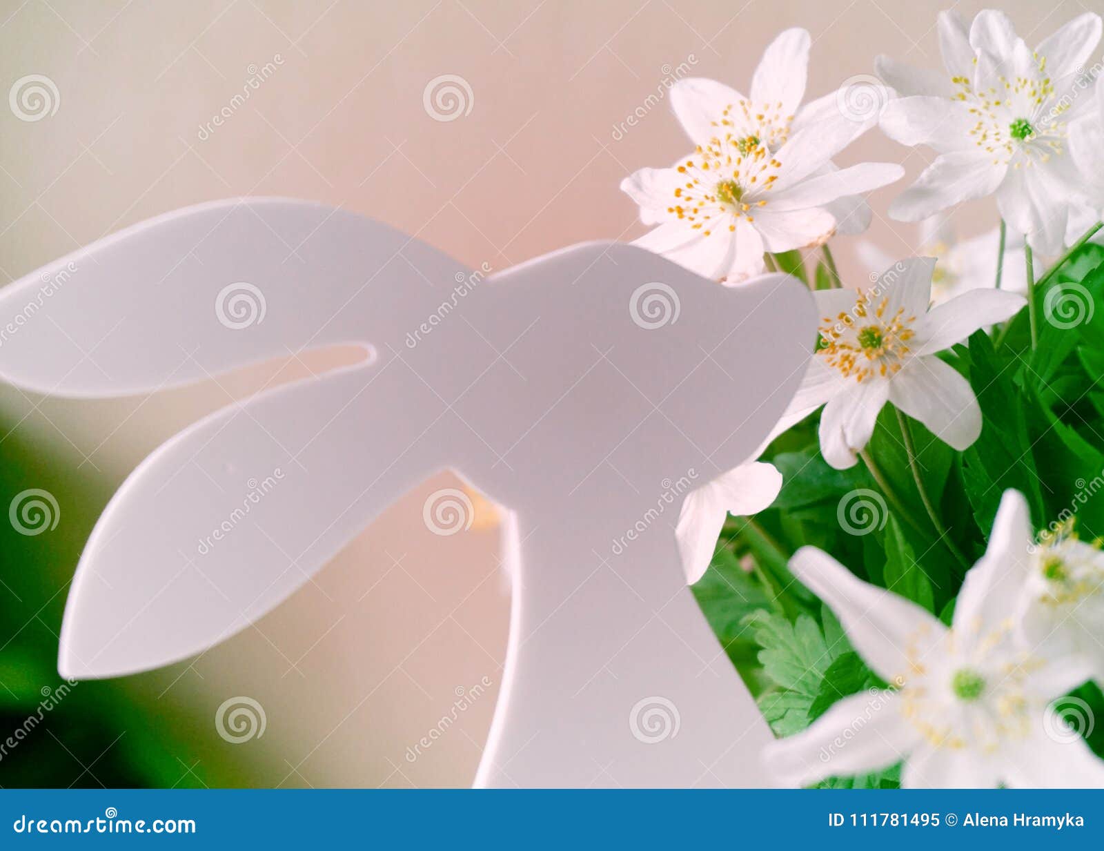 Easter Bunny with Spring Flowers Stock Image - Image of blossom ...