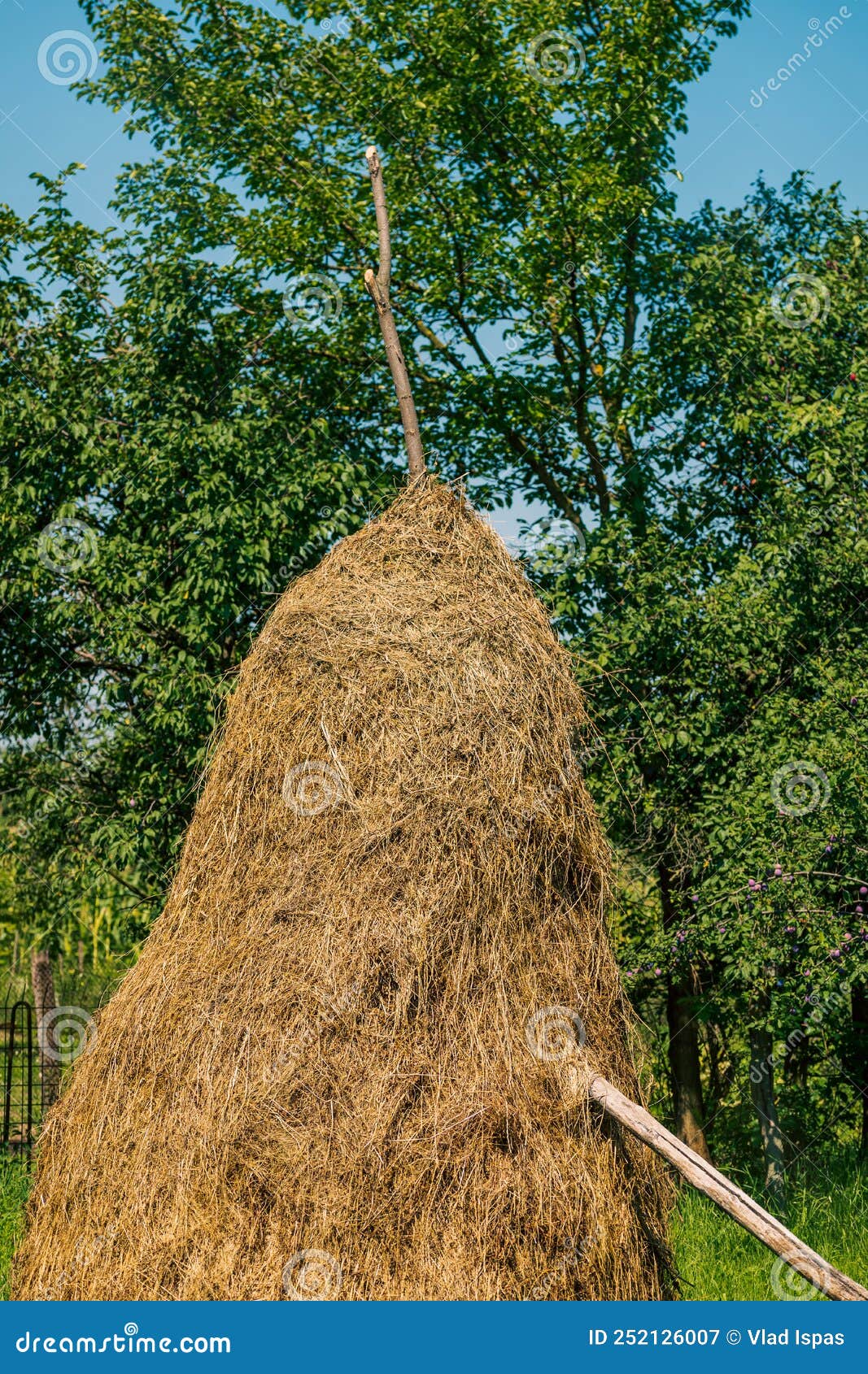 Traditional Eastern European Haystacks on Field Stock Image - Image of ...