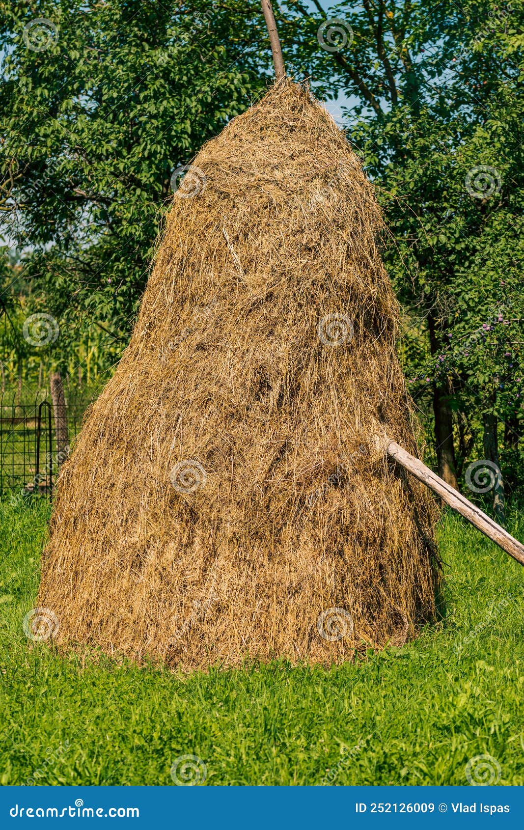 Traditional Eastern European Haystacks on Field Stock Image - Image of ...