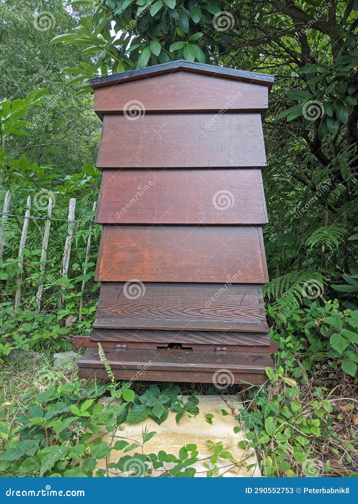 Traditional English Bee Hive in the Forest Stock Image - Image of tree ...