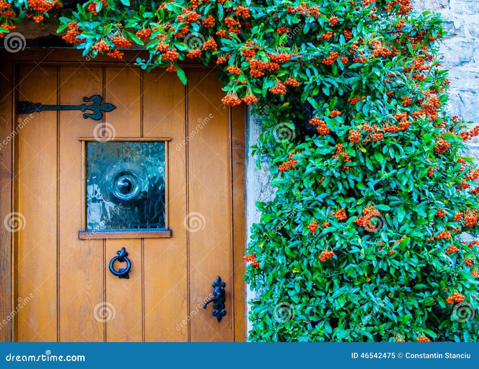 Traditional English Front Door Stock Image - Image of home, entrance ...