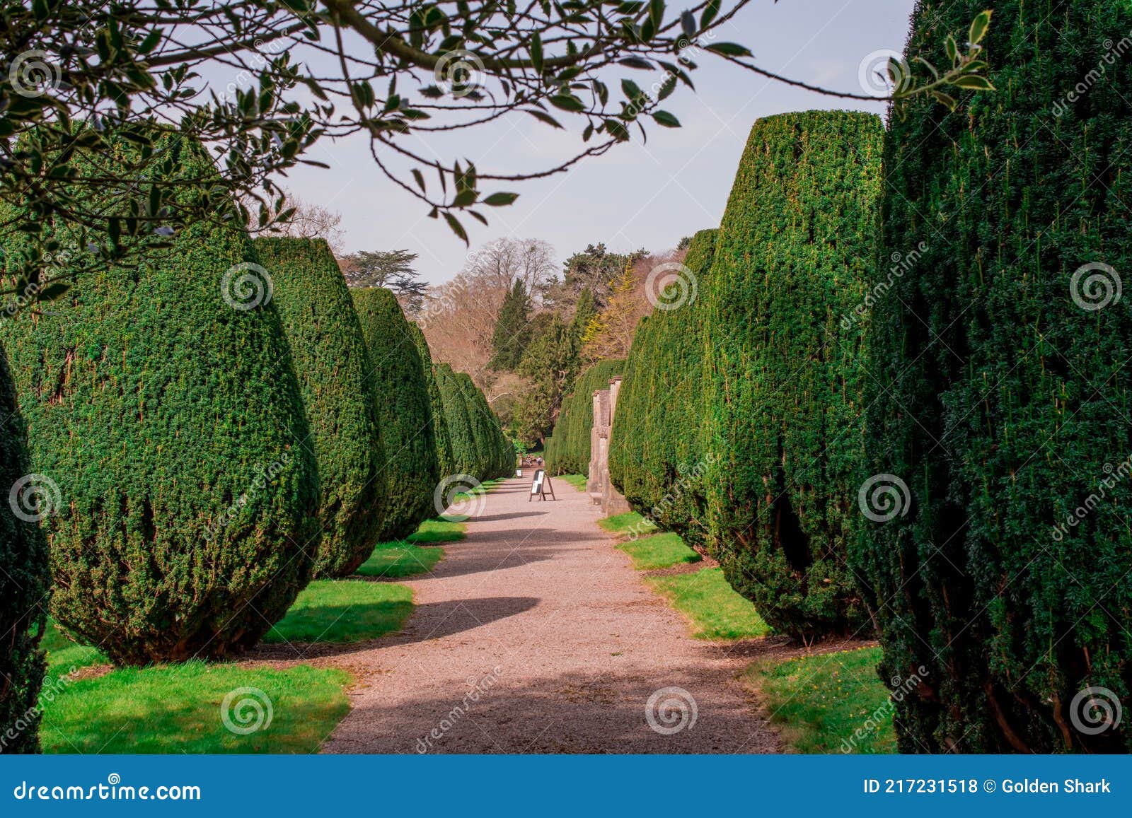 Traditional English Garden in Spring Stock Photo - Image of flowers ...