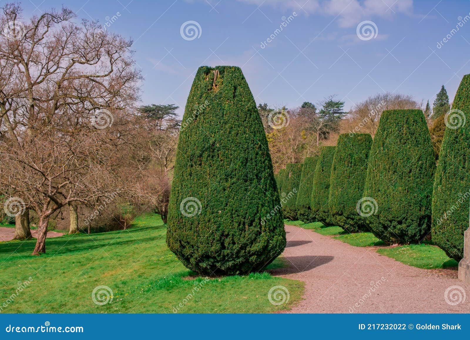 Traditional English Garden in Spring Stock Photo - Image of green ...