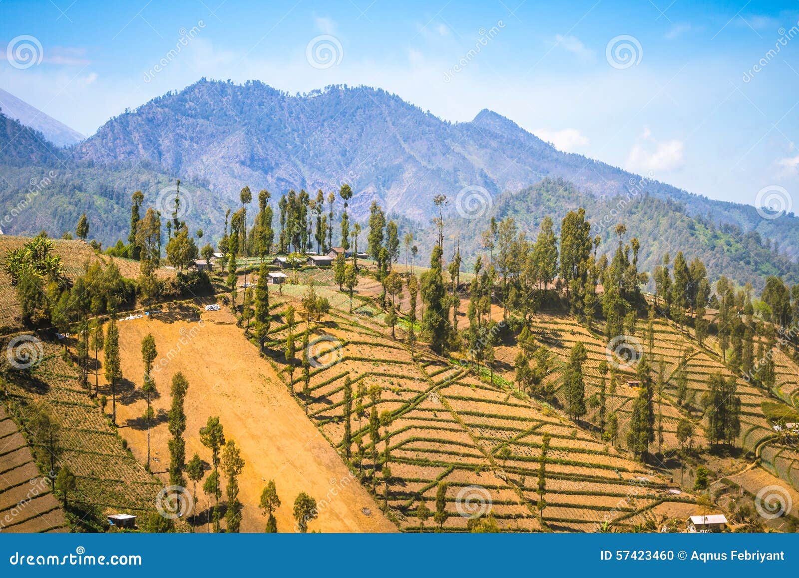 Traditional Farm in Indonesia Stock Photo - Image of sunrise, mountain ...