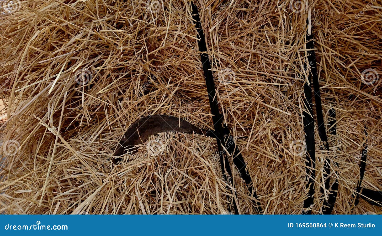 Traditional Farming Tools Stock Photos - Download 437 Royalty Free Photos