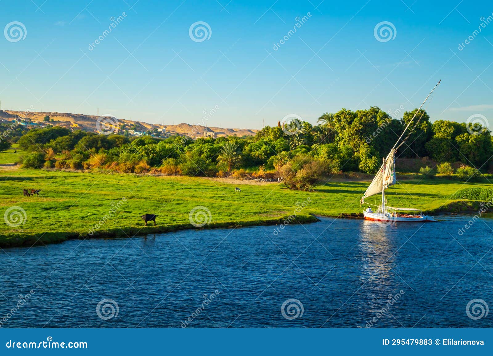 Traditional Felucca Boat on the Nile River Stock Image - Image of ...