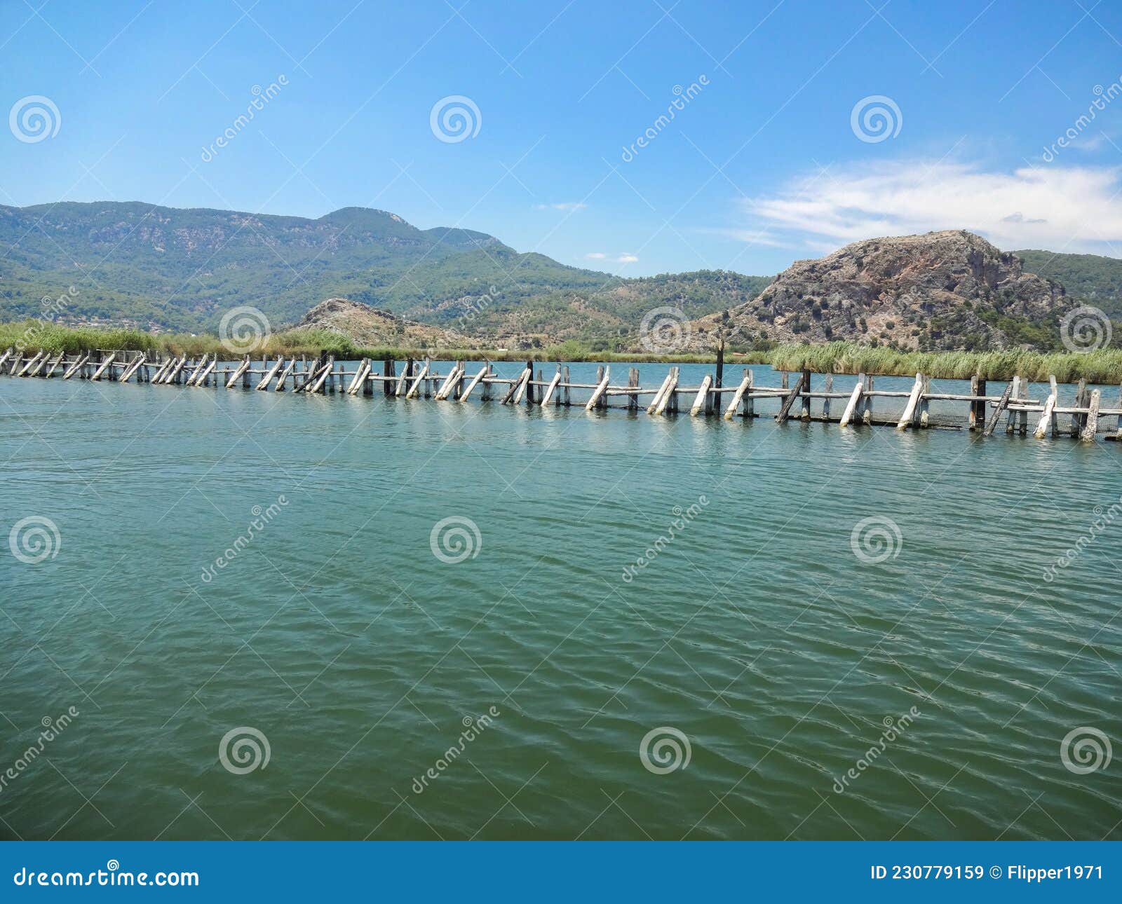 Traditional Fish Barriers on the River To Regulate Fish Spawning Stock ...