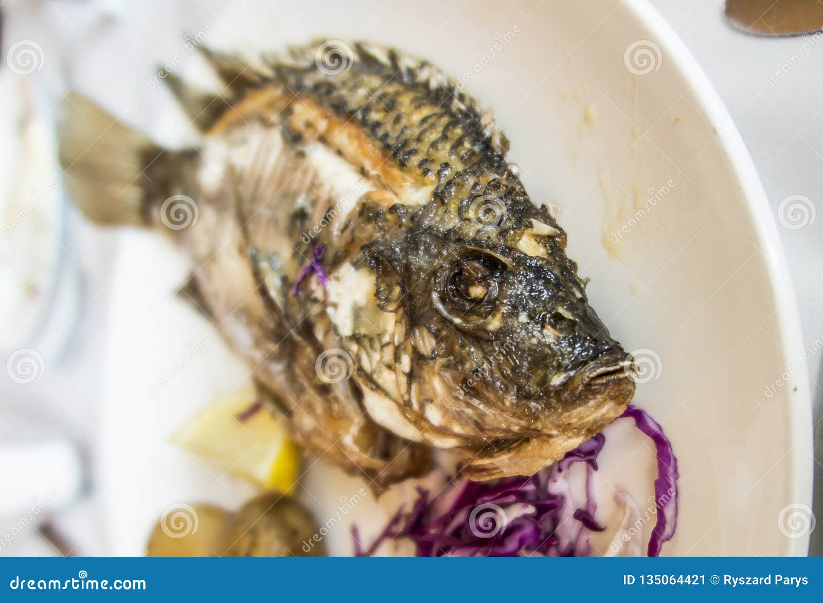 Traditional Fish St. Peter of Galilee Stock Image - Image of land, fish ...