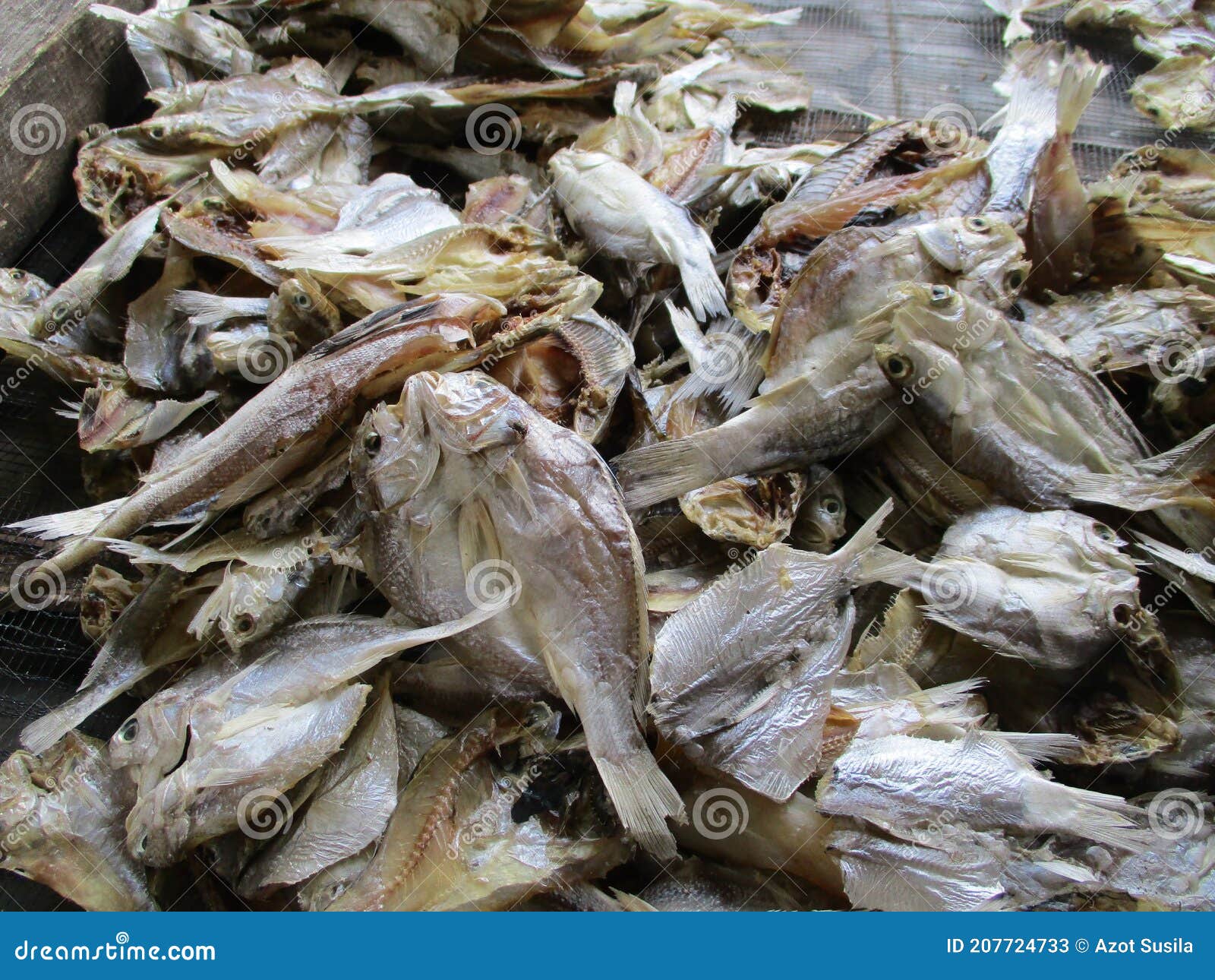 Traditional Fishing Settlements for the Salted Fish and Shrimp Paste ...