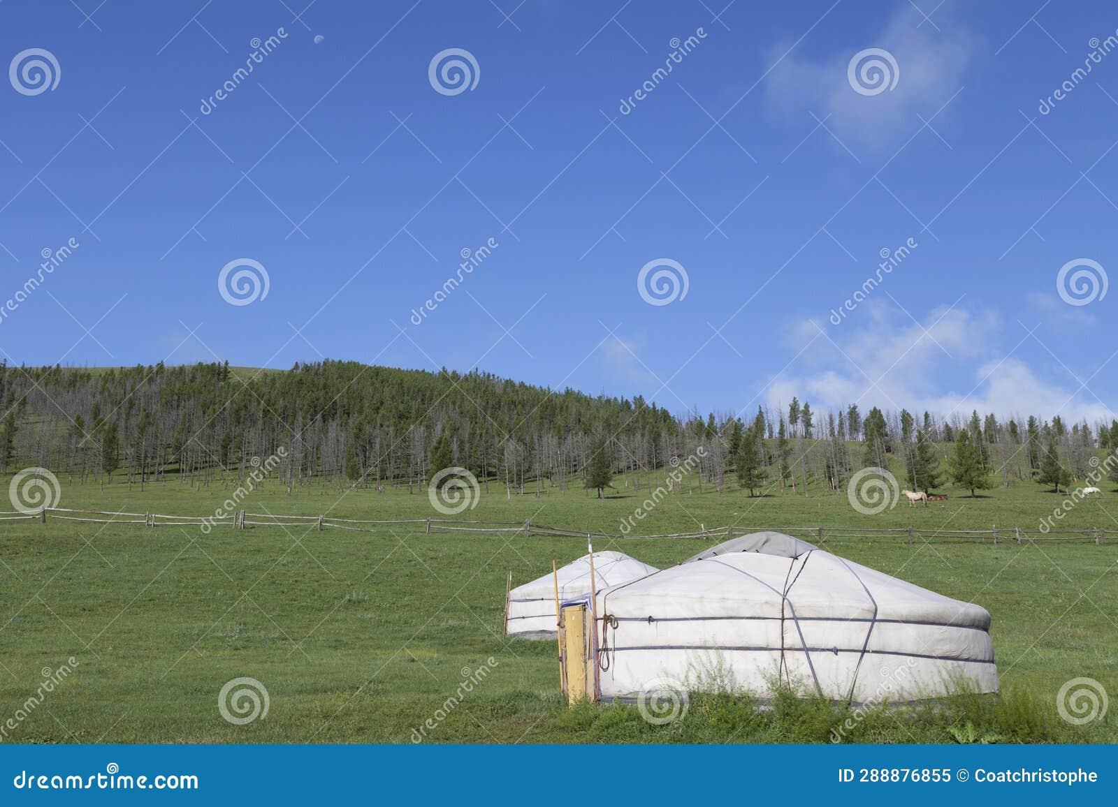 Traditional Ger in the Orkhon Valley in Mongolia Stock Image - Image of ...