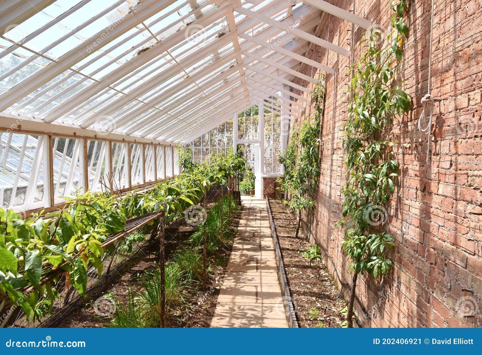 An Old Traditional Glass Greenhouse Stock Image - Image of growing ...