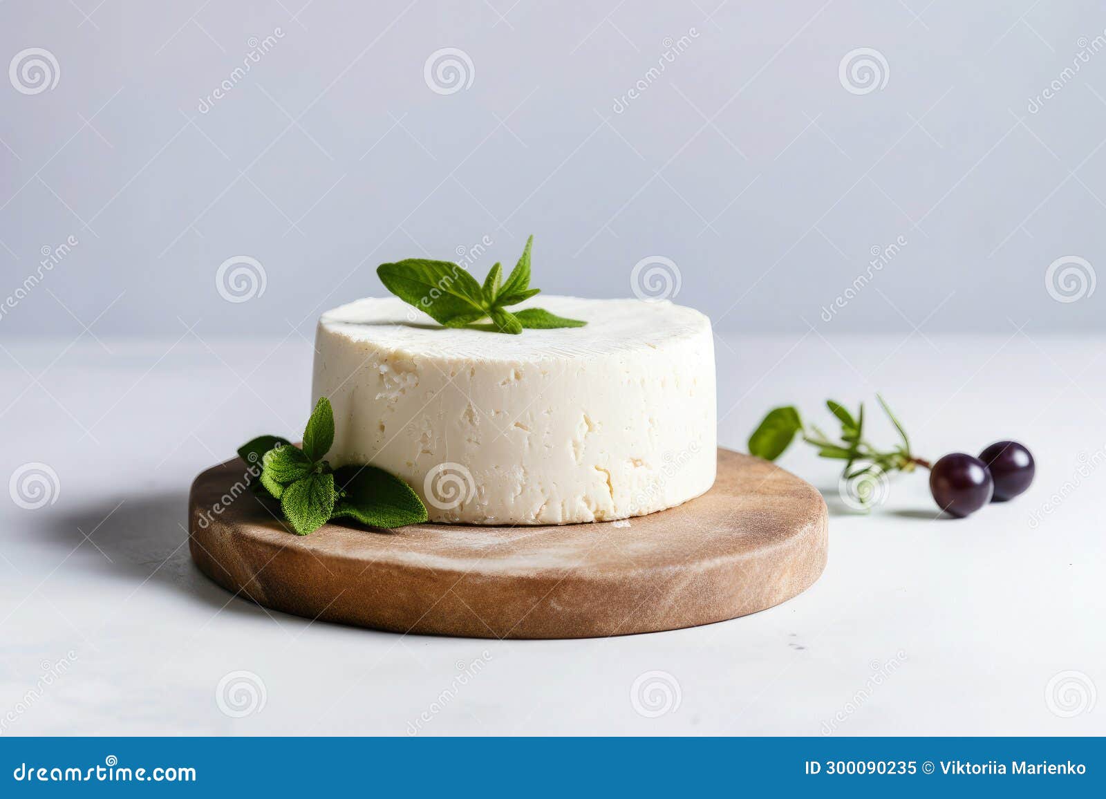 Goat Cheese Labels. Organic Cheddar Cheese Slices, Cartoon Goat ...