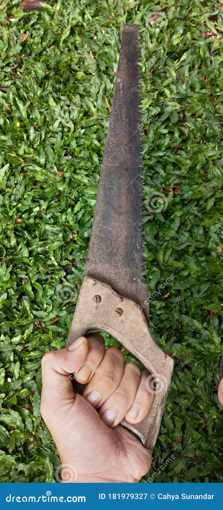 Traditional hand wood saw stock image. Image of sculpture - 181979327