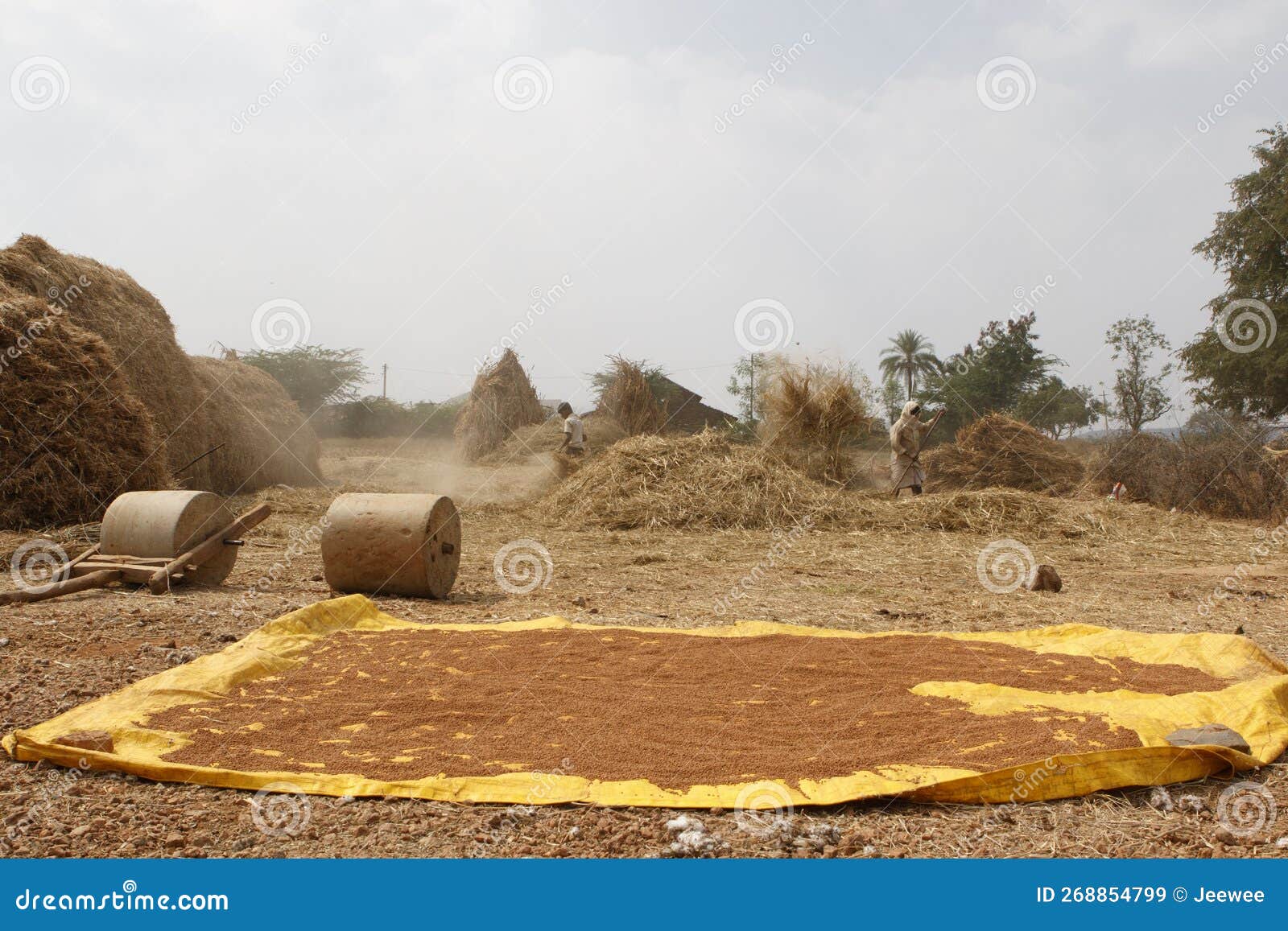 Traditional Haystack in Karnataka, India, Asia Stock Image - Image of ...
