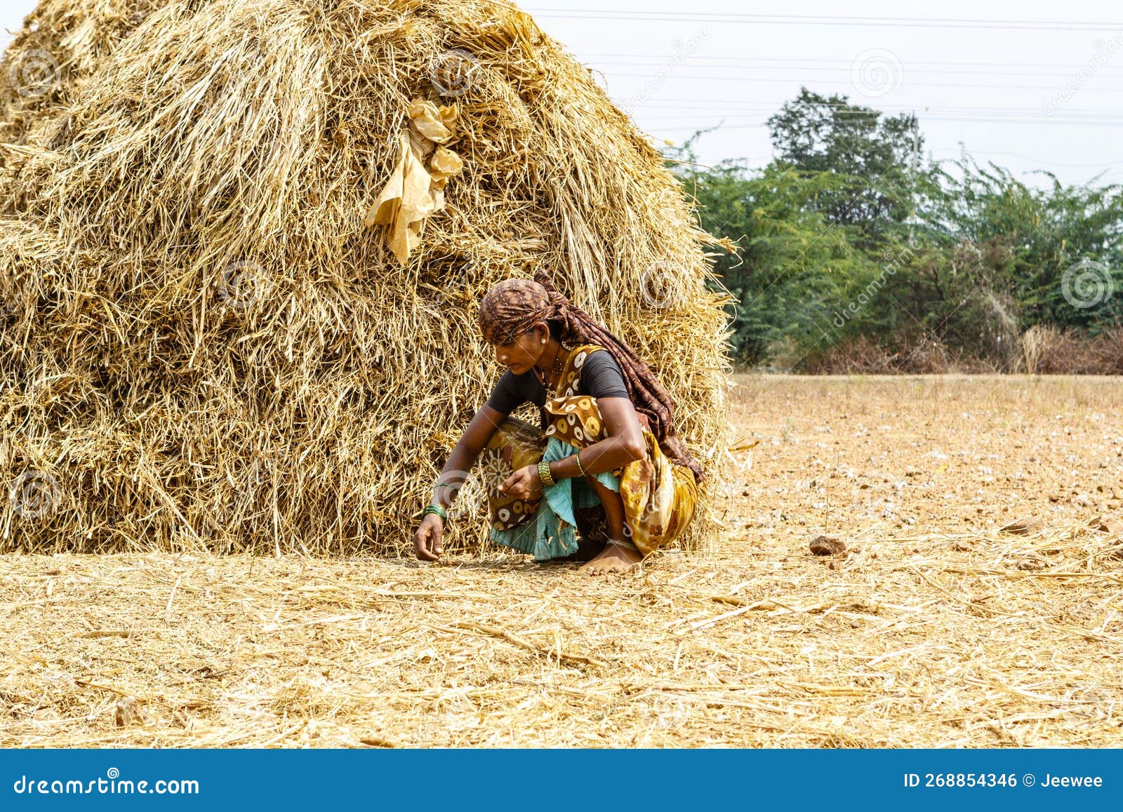 Traditional Haystack in Karnataka, India, Asia Editorial Photo - Image ...