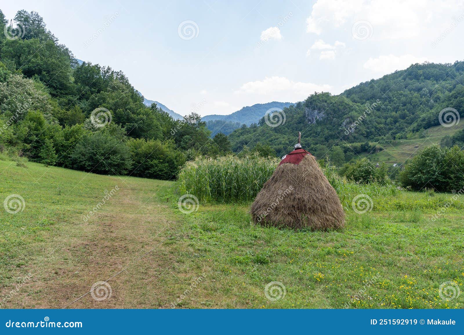 Traditional Haystack in Montenegro Stock Image - Image of environment ...