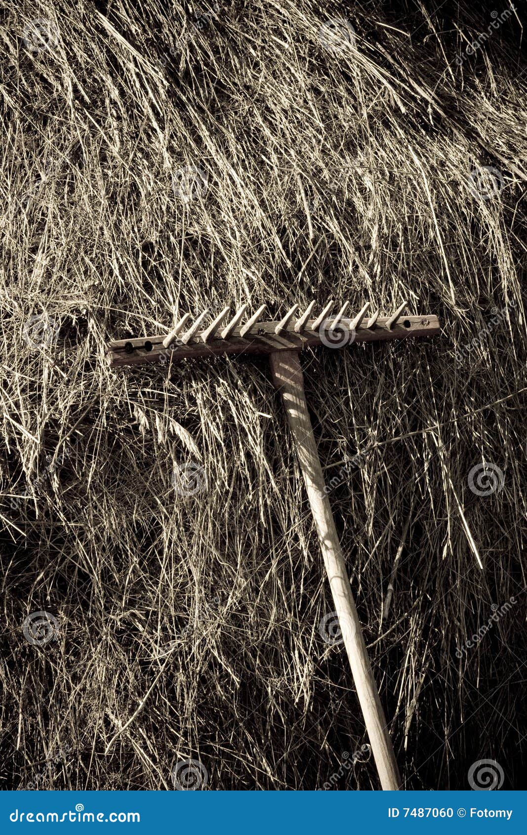 Traditional Haystack Rural Scene Stock Photo - Image of homestead, farm ...