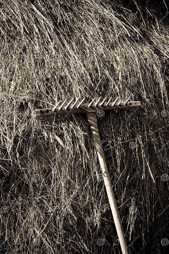 Traditional Haystack Rural Scene Stock Photo - Image of homestead, farm ...