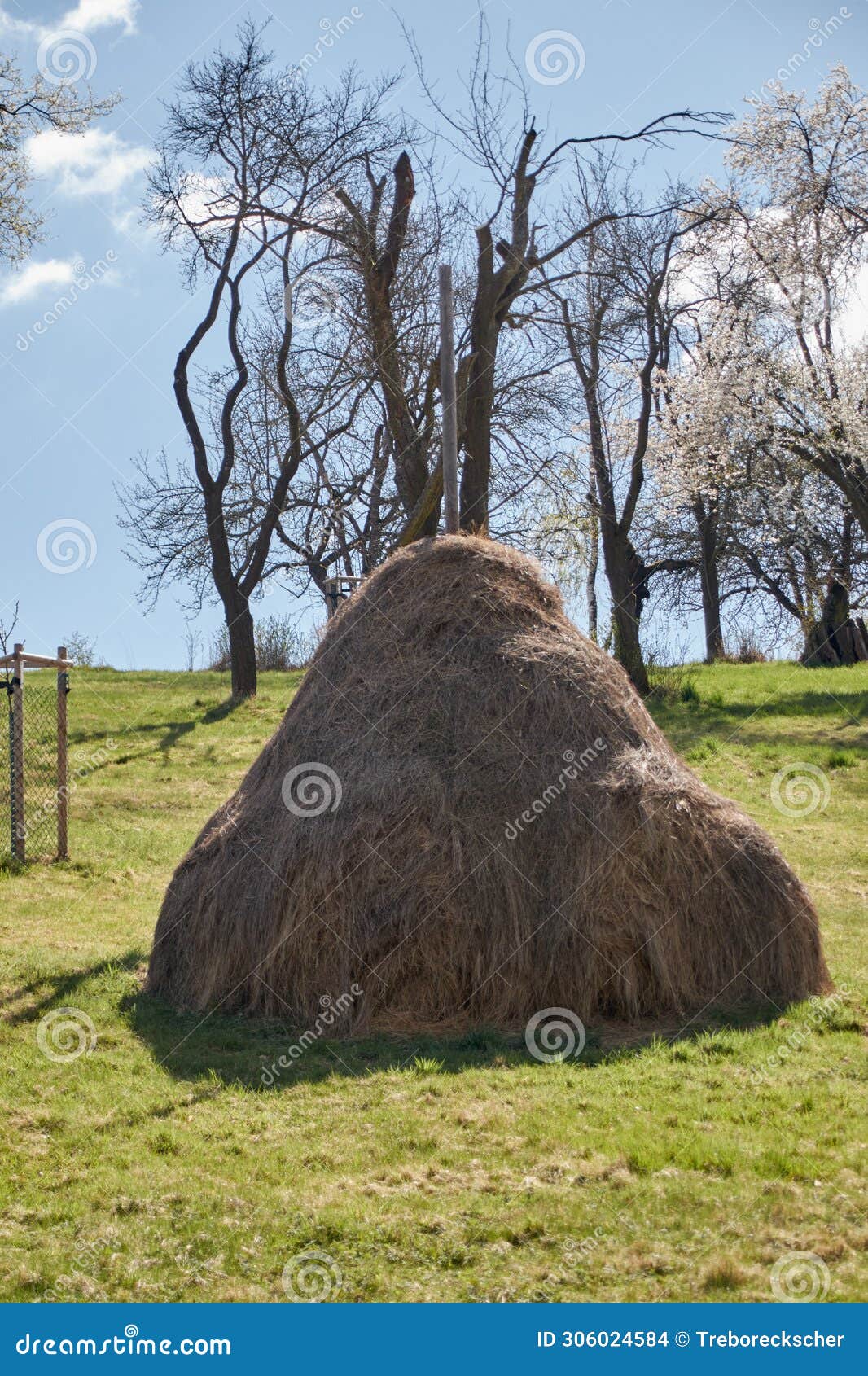 Traditional Haystack on a Saxon Meadow in Germany Stock Photo - Image ...