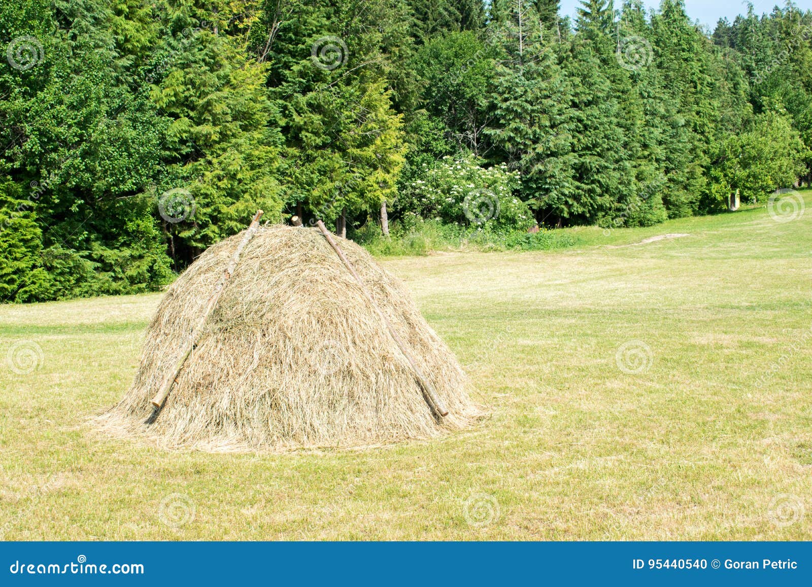 Traditional Haystacks from a Mountain Village in Mountains Stock Photo ...