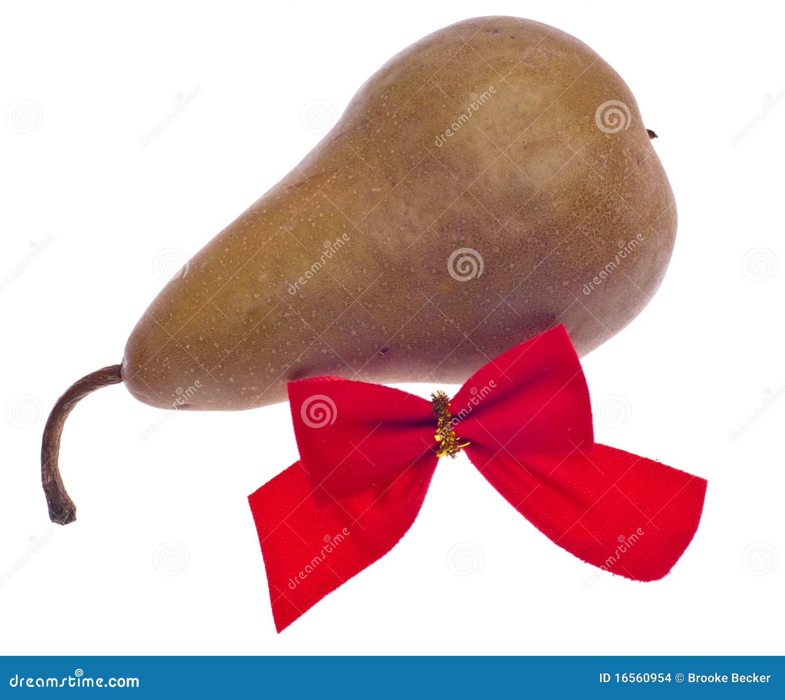 Traditional Holiday Pear stock photo. Image of isolated - 16560954