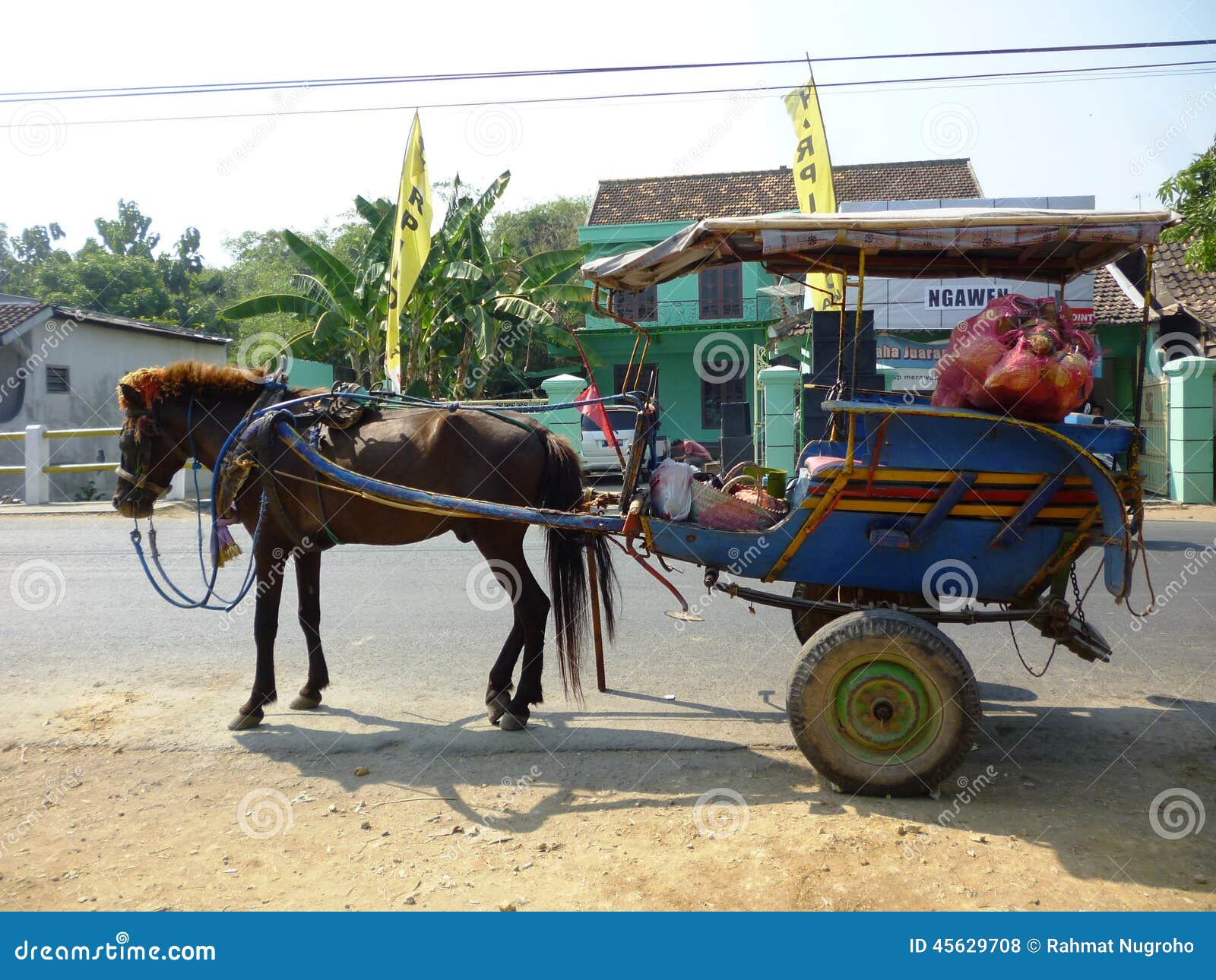 Traditional Horse and Cart editorial stock photo. Image of street ...