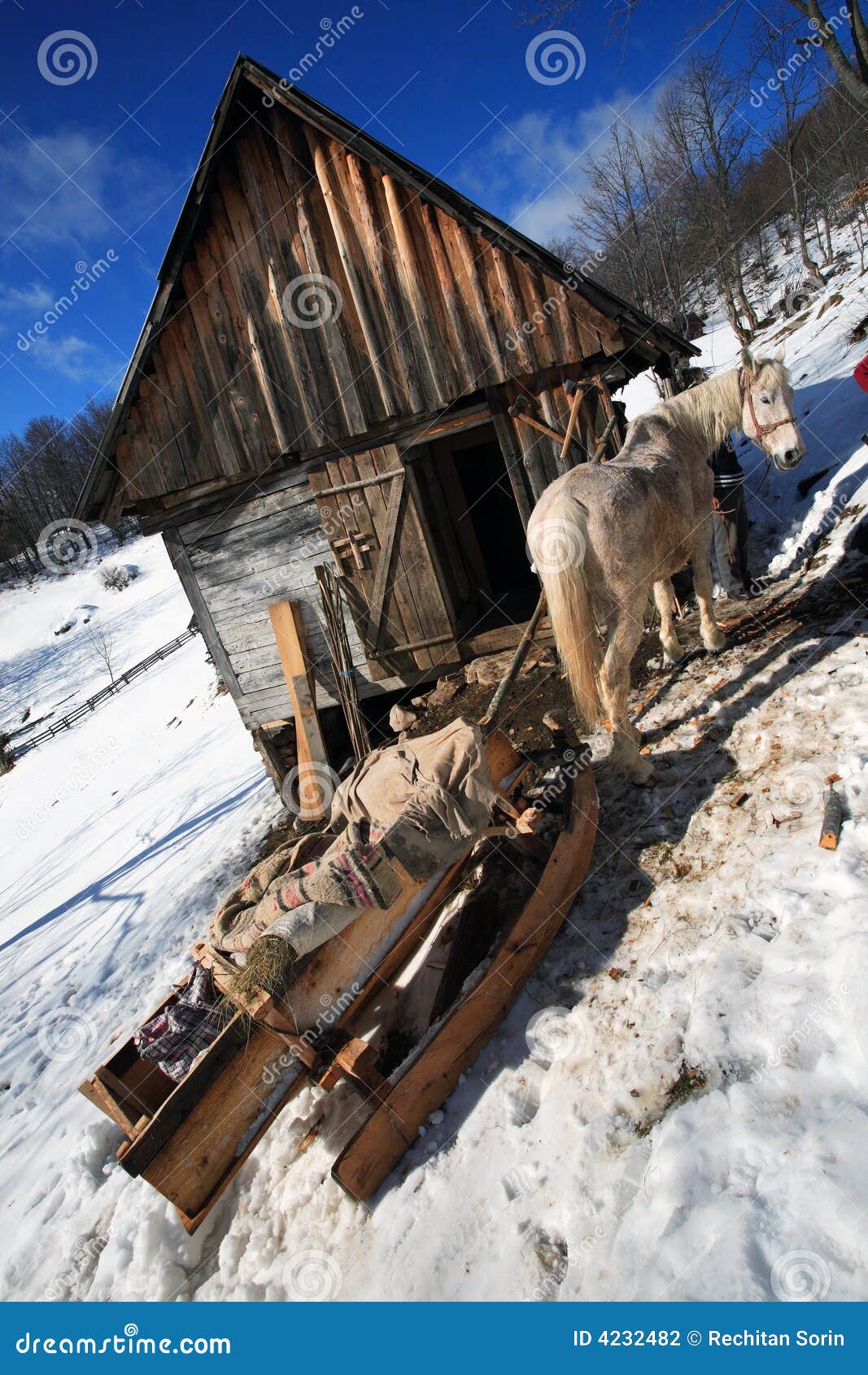Traditional horse sledge stock photo. Image of hills, tree - 4232482