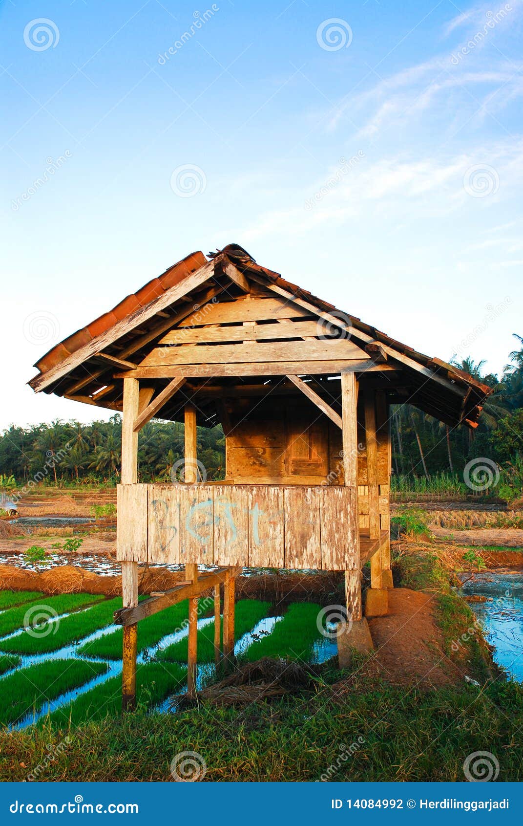 Traditional hut stock photo. Image of farming, tropic - 14084992