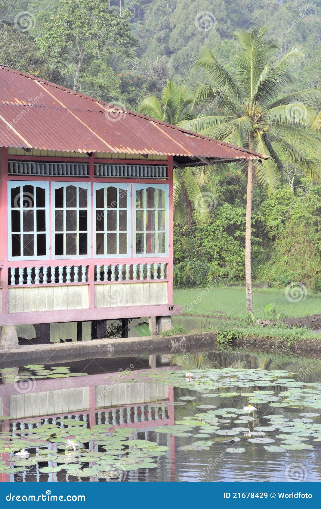 Traditional Indonesian House among R Stock Image - Image of agriculture ...