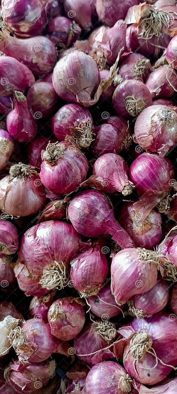 Traditional Ingridient in Indonesia Stock Photo - Image of traditional ...